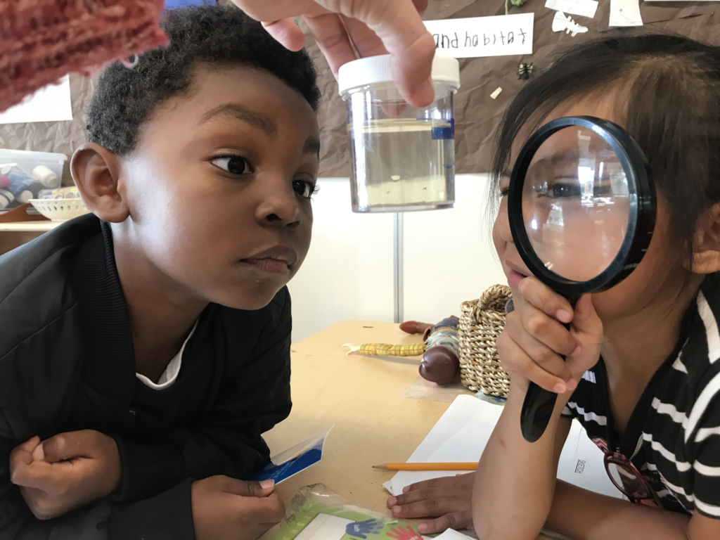 Kinder Students Observing Samples - Changing The Subject