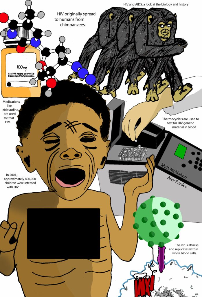 HIV/AIDS Infographic - Changing The Subject